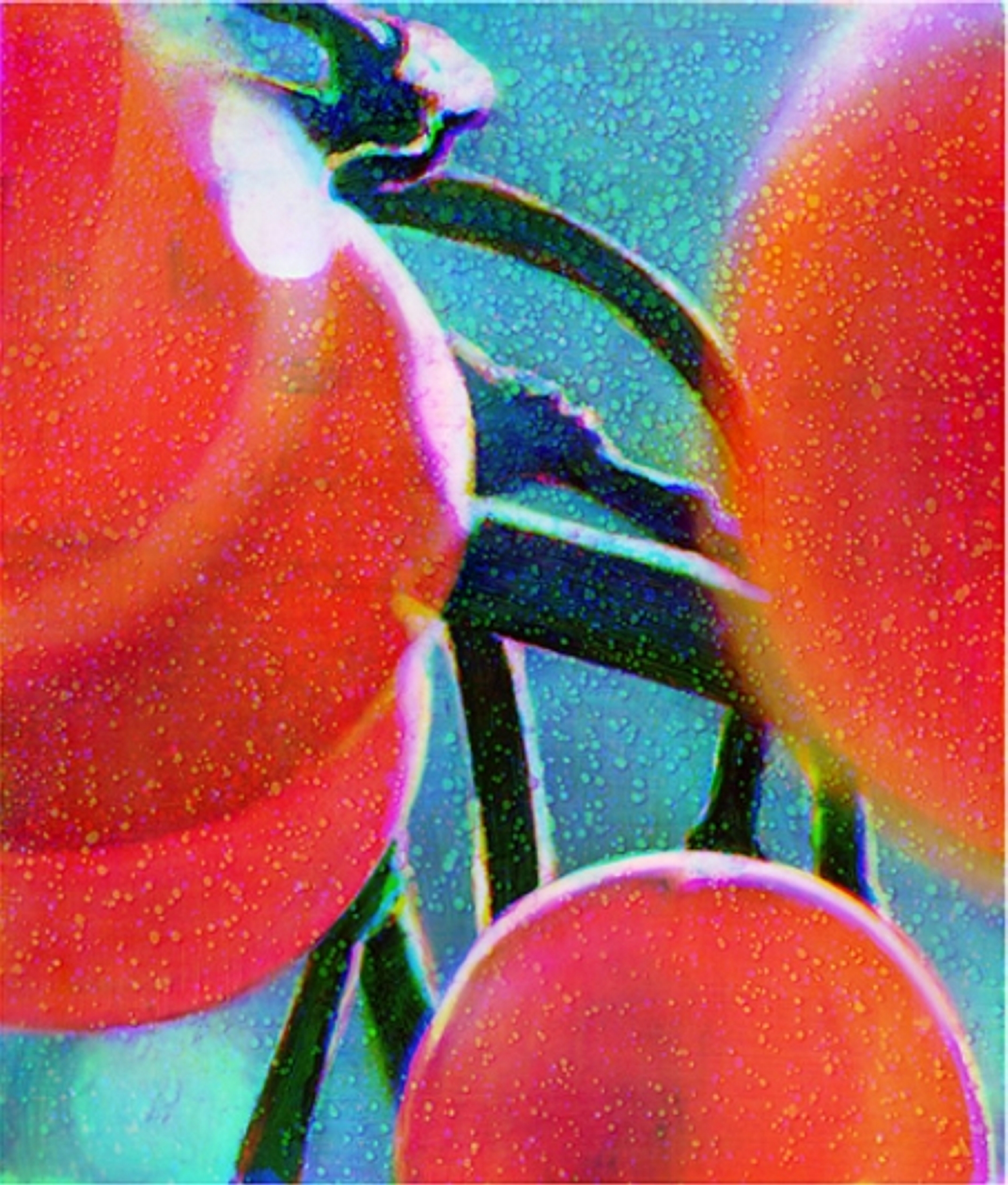 Tim Maguire - Artworks & Paintings For Sale Online - Fellia Melas Gallery